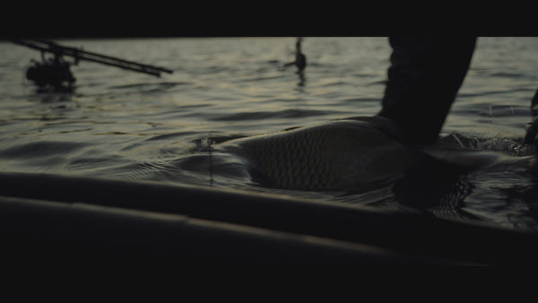 Nash Tackle | Premium Carp Fishing Equipment